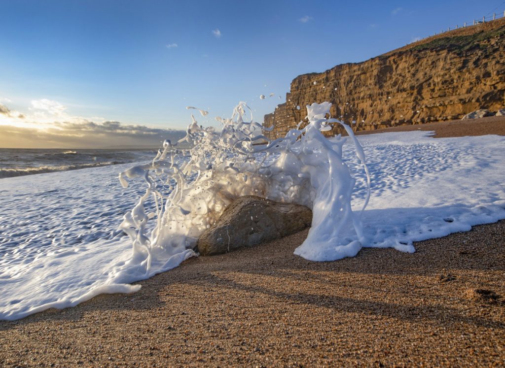 Neil Barnes Photographer – Bridport & West Bay