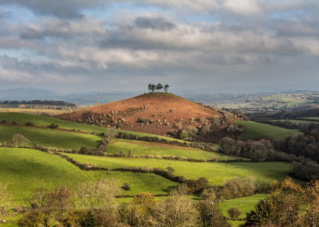 Neil Barnes Photographer – Bridport & West Bay