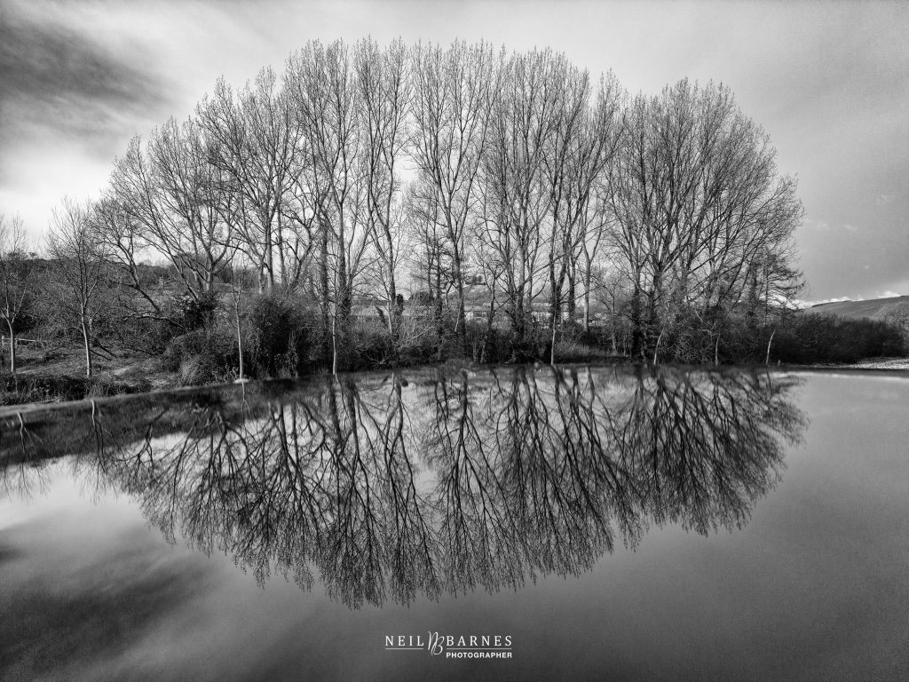 Neil Barnes Photographer – Bridport & West Bay