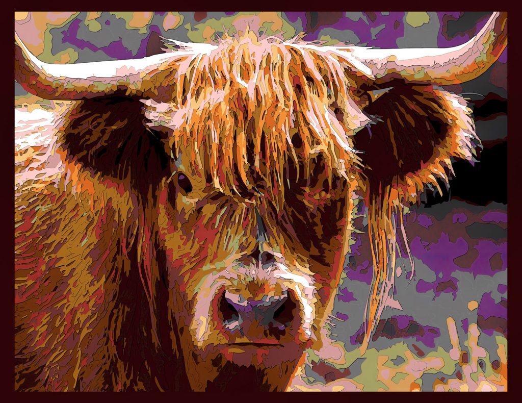 Angus the Highlander posterised – Neil Barnes Photographer